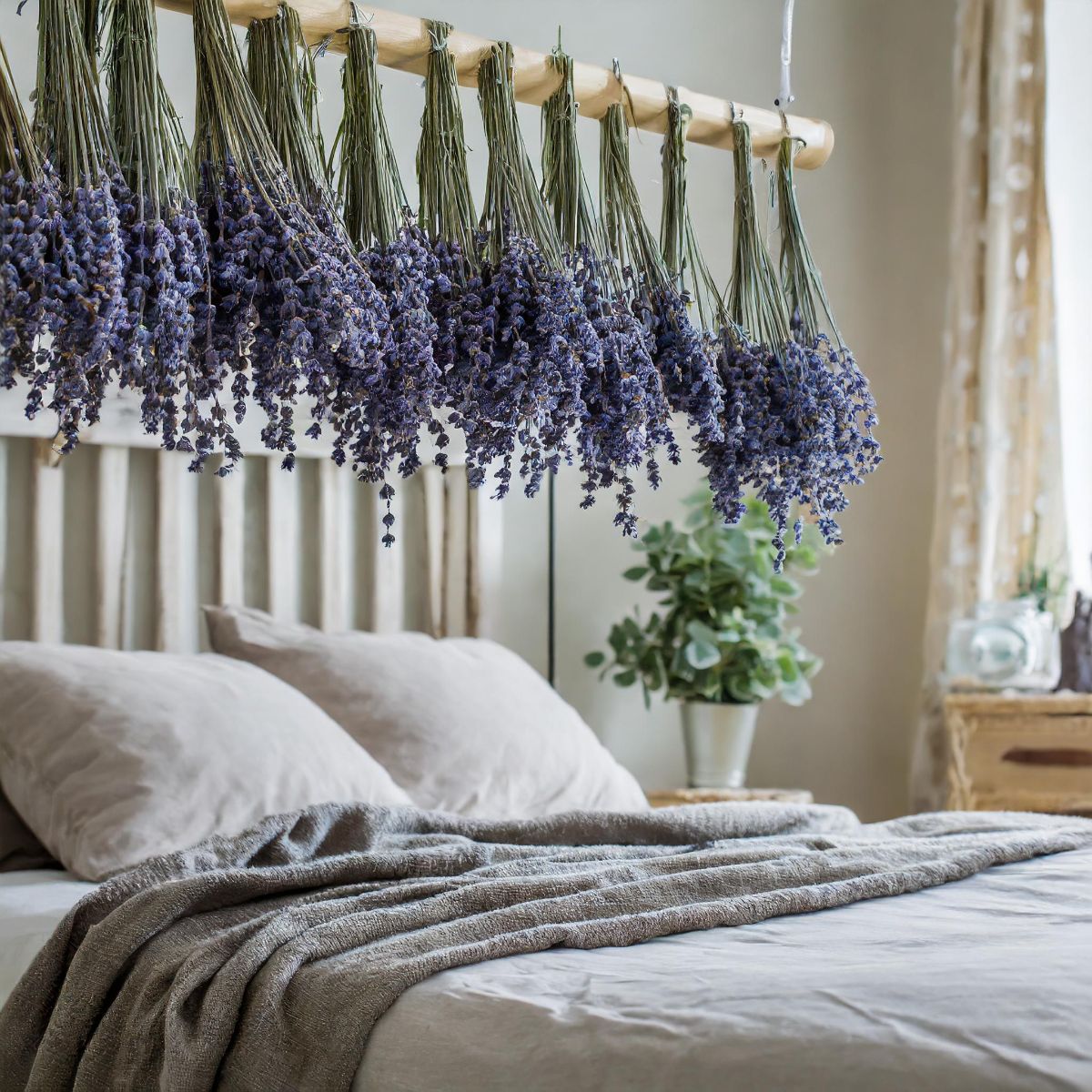 Hang dried lavender above your bed to witness a delightful ...