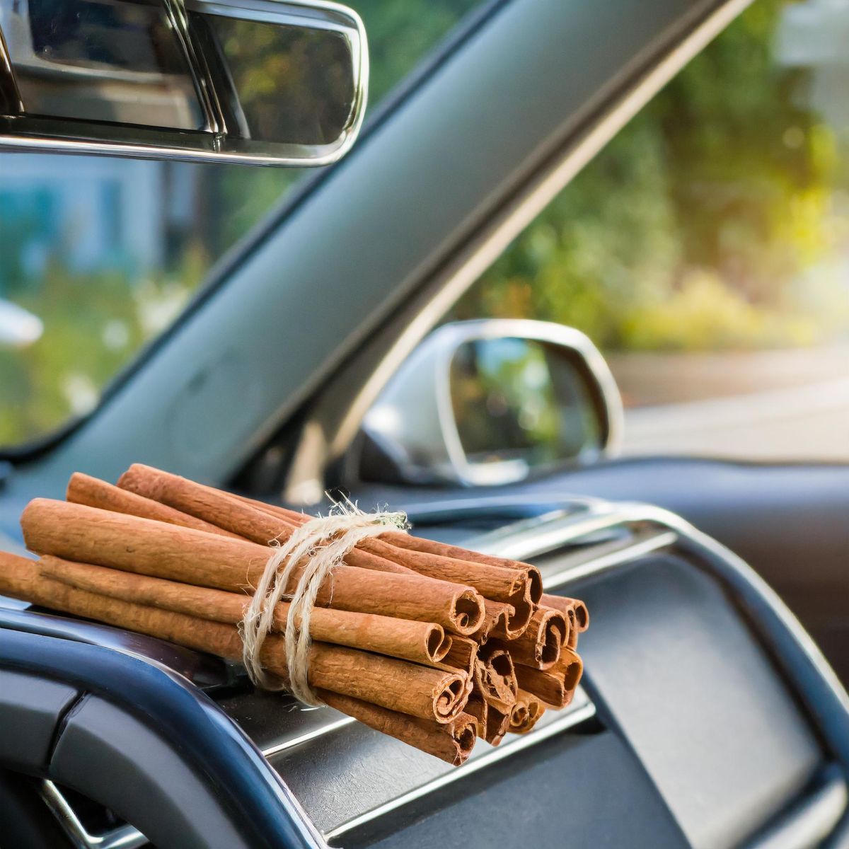 Place a cinnamon stick in your car for this baffling effect - Remedy Daily
