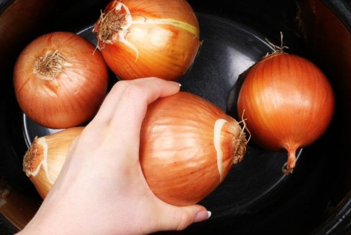 10 unusual ways onions are used for common illnesses