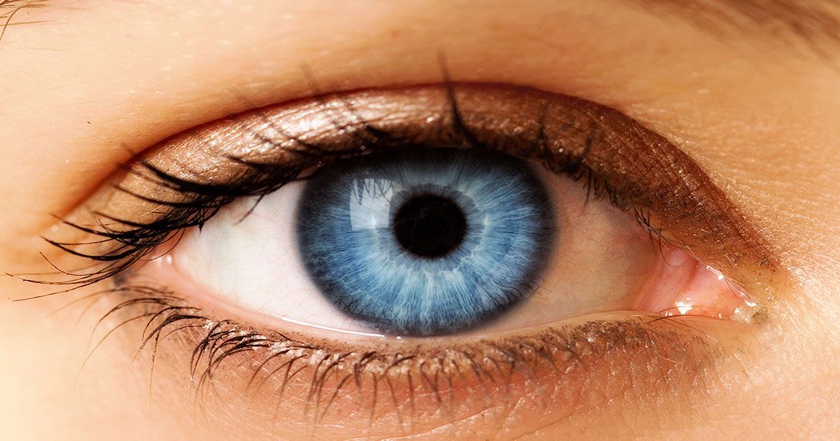 Scientists say that all blue-eyed people have more than eye color in ...