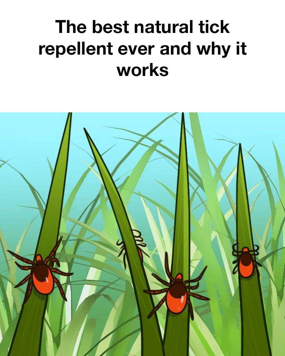I had no idea about this! Will be trying for sure - Remedy Daily