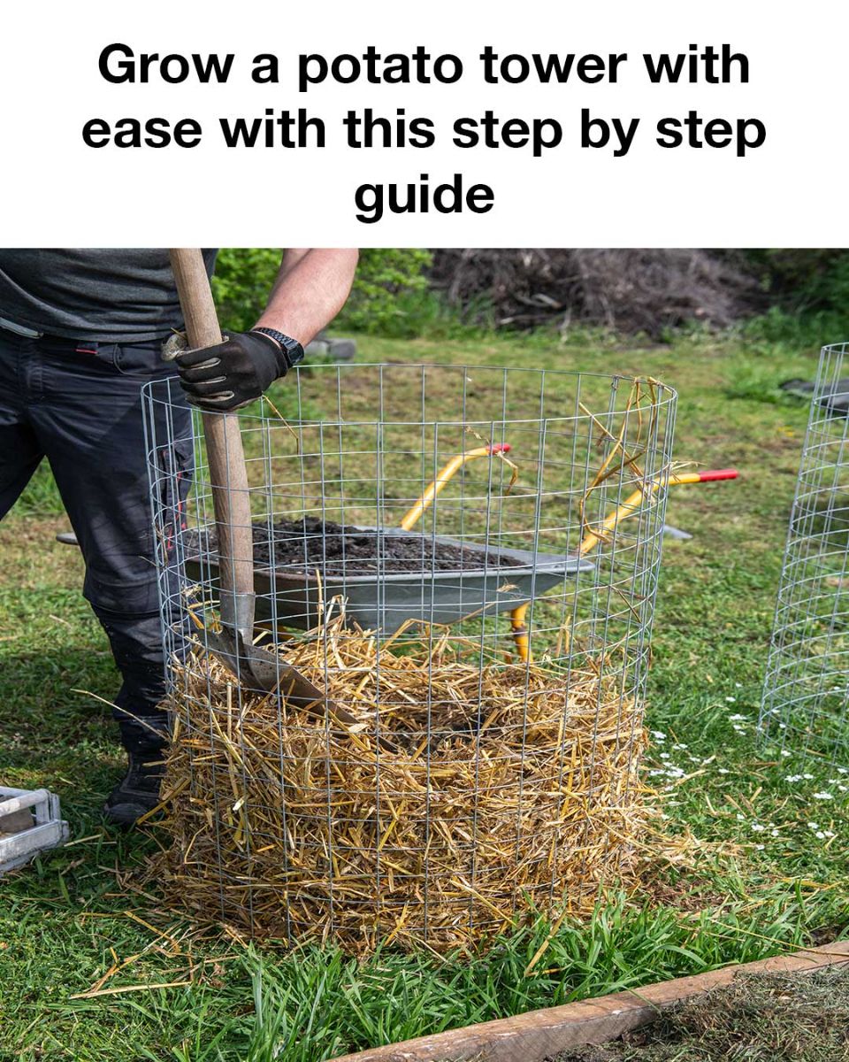 Grow a potato tower with ease with this step by step guide - DIY Everywhere