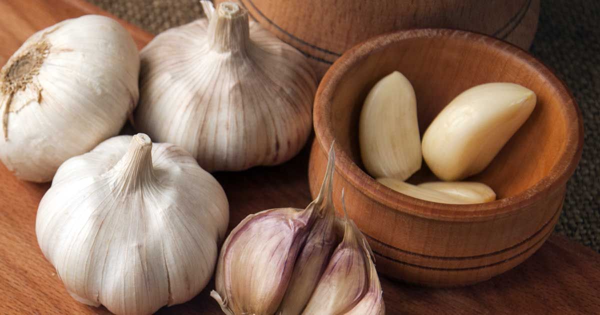 10 most powerful natural antibiotics ever