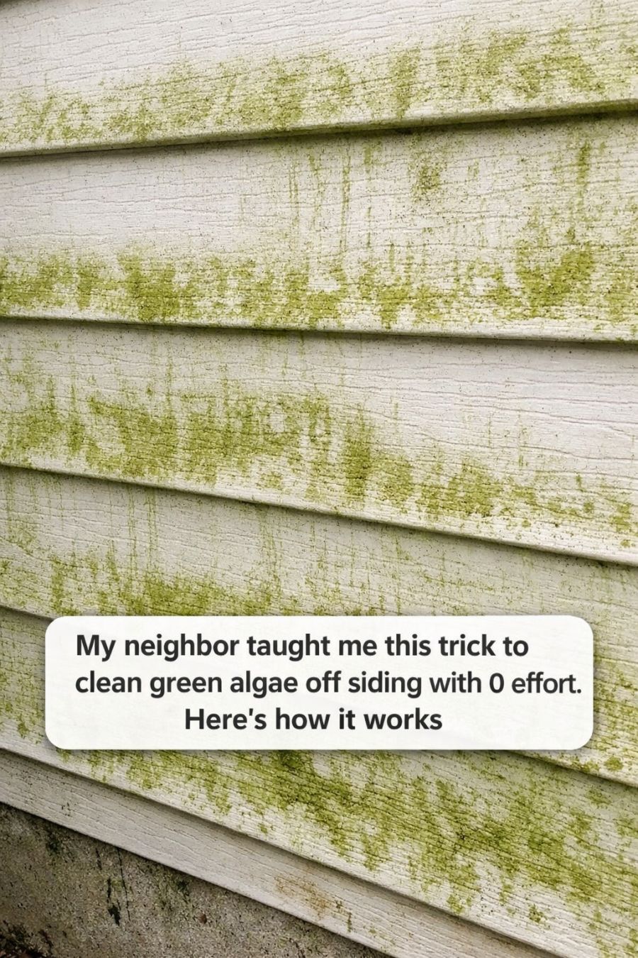 My neighbor taught me this trick to clean green algae off siding with 0 ...